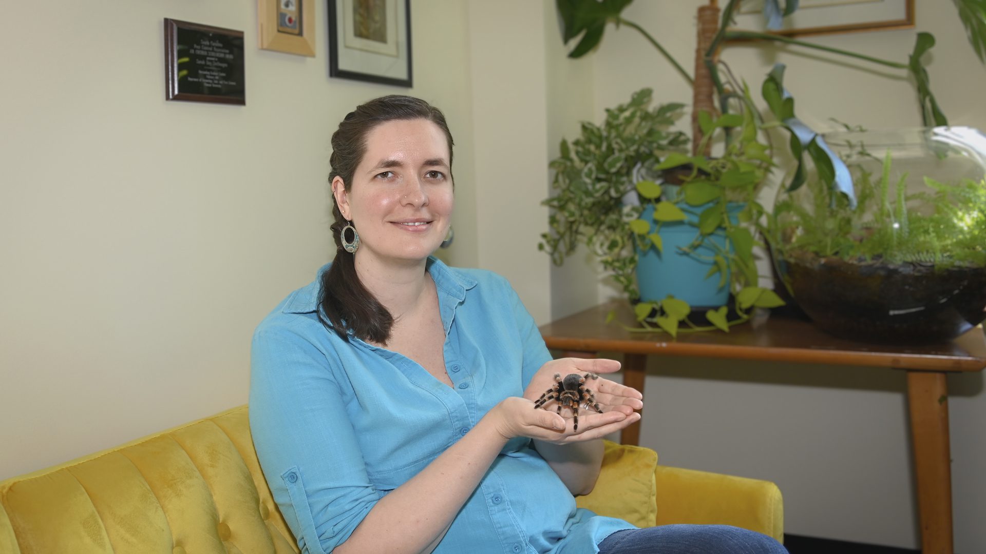 Exploring Sticky Science - Inside UNC Charlotte