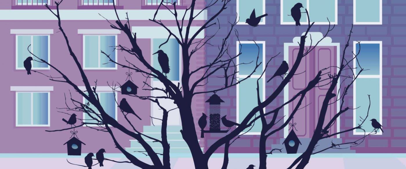 City birds: Study shows impact of urbanization - Inside UNC Charlotte